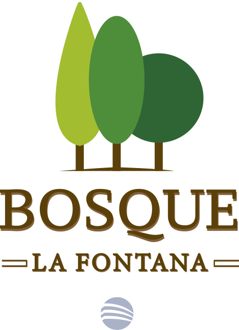 Avance de Obra Bosque - NT GroupNT Group